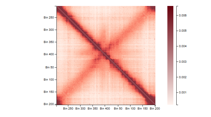 Visualization Dashboard